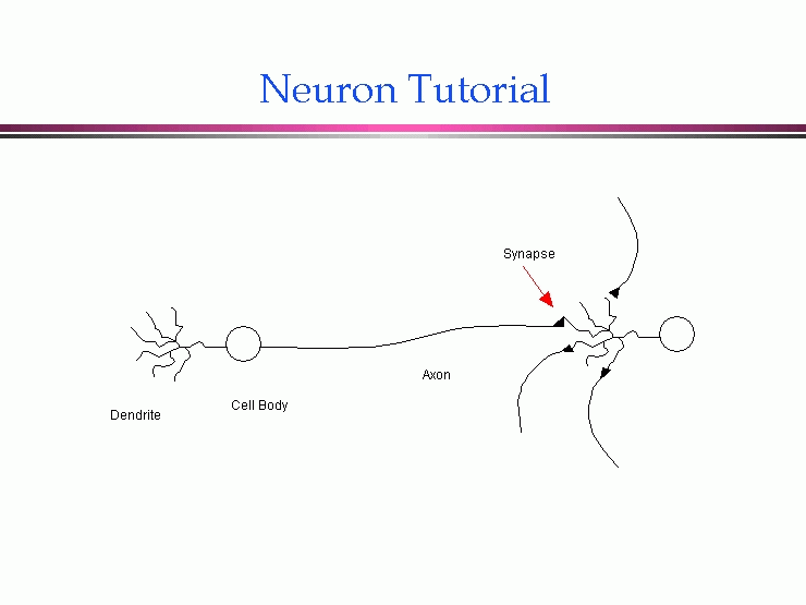 Neuron Tutorial